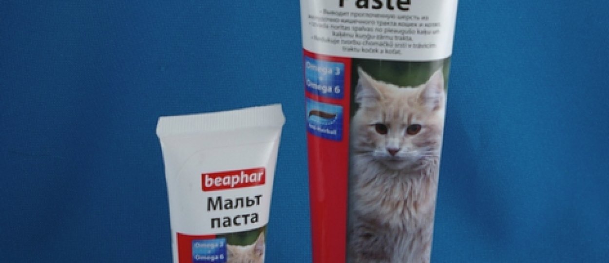«Мальт-паста для кошек»: инструкция по применению в ветеринарии ...