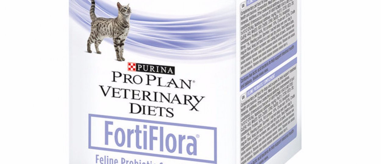 Пробиотик «ФортиФлора» для кошек: состав, инструкция по применению