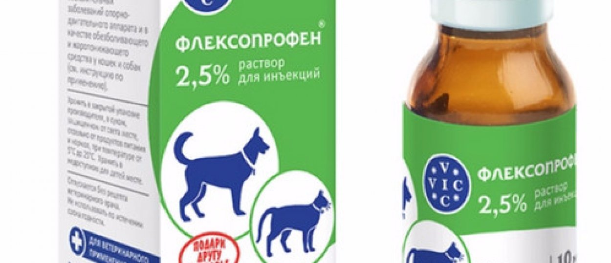 «Флексопрофен» для собак и кошек: инструкция по применению